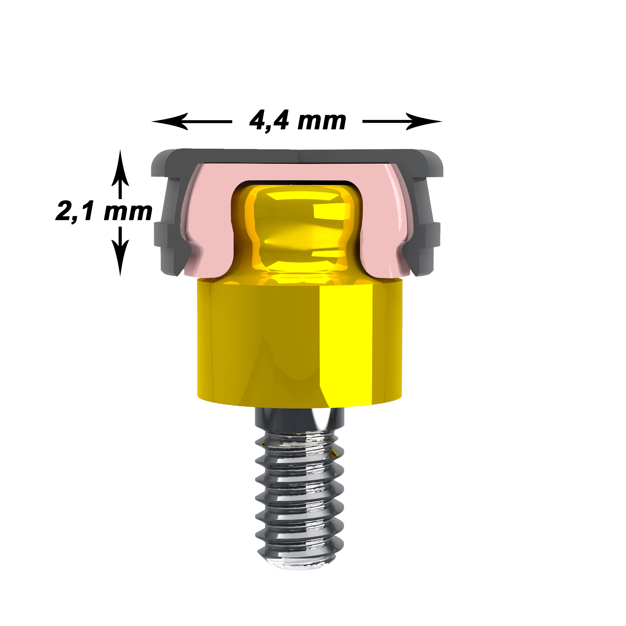 Rhein 83 – Servo-Dental